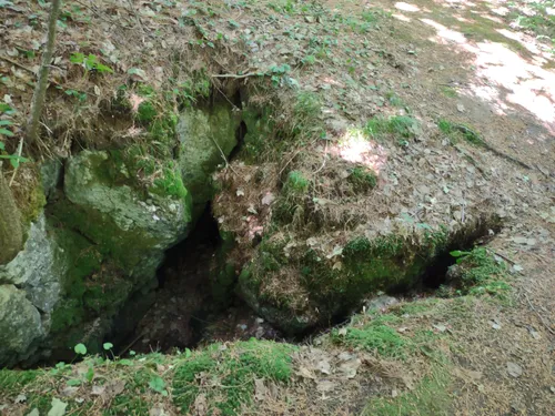 Best Hikes and Trails in Mystery Valley Karst Preserve | AllTrails