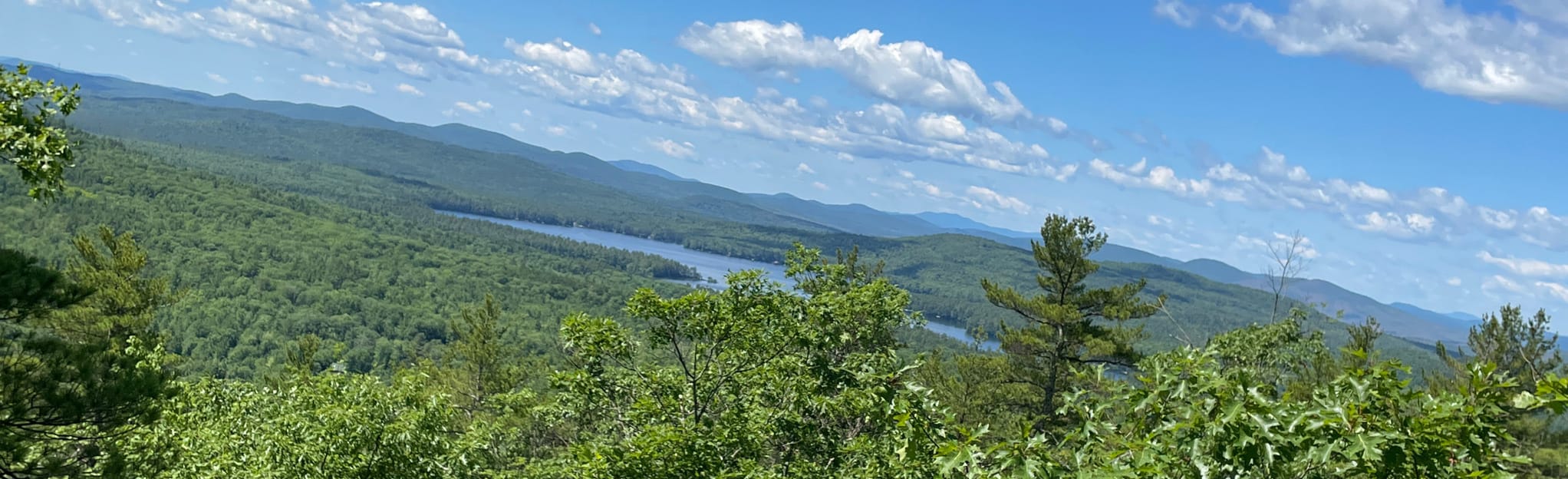 Bob Chase, South Face Loop Trail, Moose Trail, Maine - 247 Reviews, Map ...