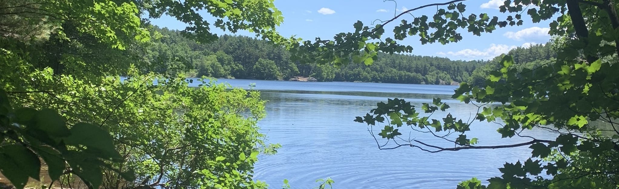 West Middlesex Fells Reservation Bike Loop: 894 Reviews, Map ...