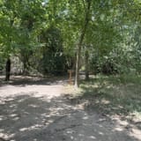 Green Ridge Trail, Texas - 928 Reviews, Map | AllTrails
