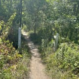 Green Ridge Trail, Texas - 928 Reviews, Map | AllTrails