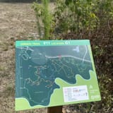 Green Ridge Trail, Texas - 928 Reviews, Map | AllTrails