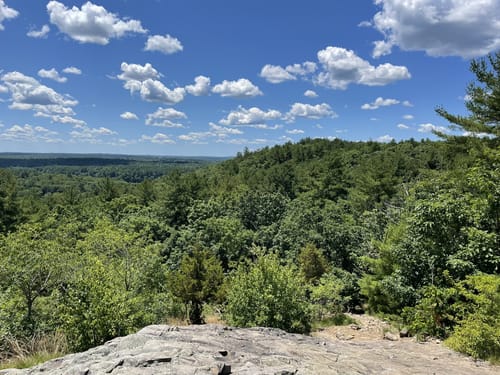 2023 Best 10 Moderate Trails in Blue Hills Reservation | AllTrails