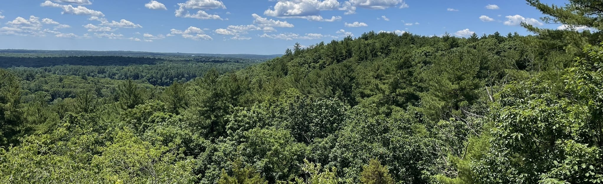 Houghton, Skyline, Coon Hollow, Chestnut Run, and Jeffries Trail ...