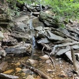 Plattekill Mountain Summit, New York - 47 Reviews, Map | AllTrails