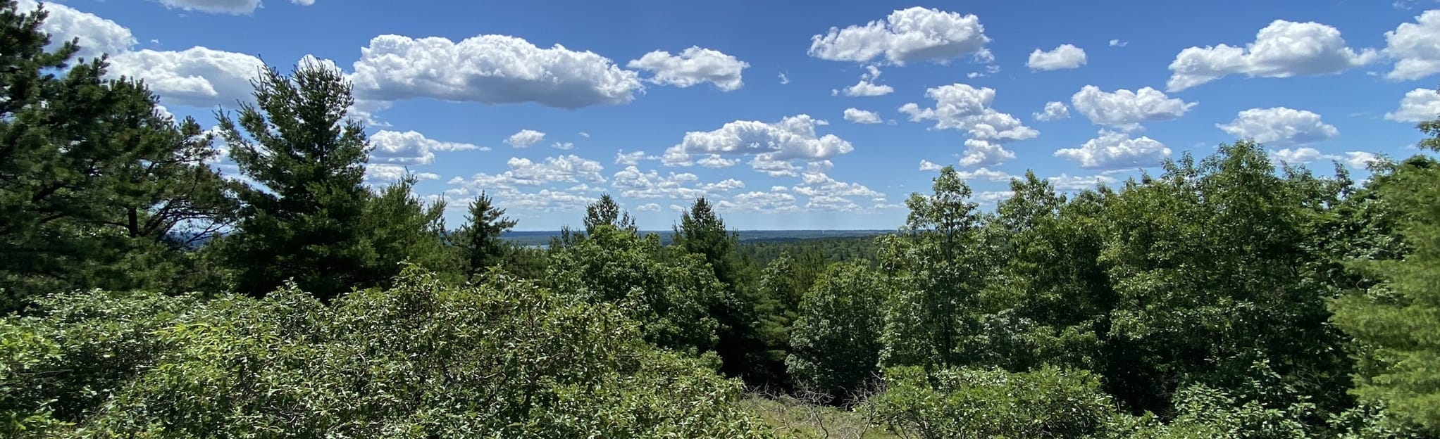 Skyline Trail, Great Cedar Swamp, and Hawk Hill: 1.812 foto's ...