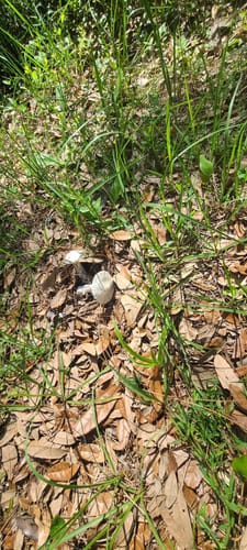 Best Hikes and Trails in Caravelle Ranch Wildlife Management Area ...