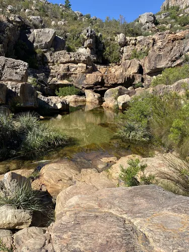 2023 Best Wild Flowers Trails in Beaverlac | AllTrails