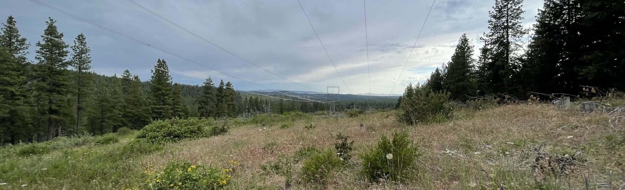 Brooks Memorial Campground Loop, Washington - 5 Reviews, Map | AllTrails