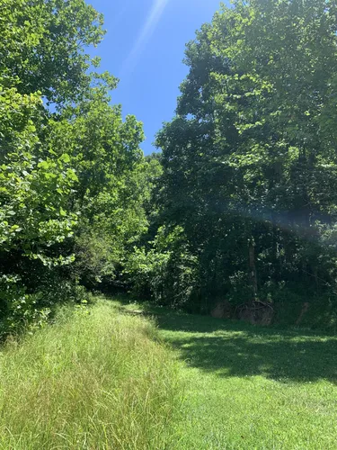 10 Best Hikes and Trails in Barboursville City Park | AllTrails