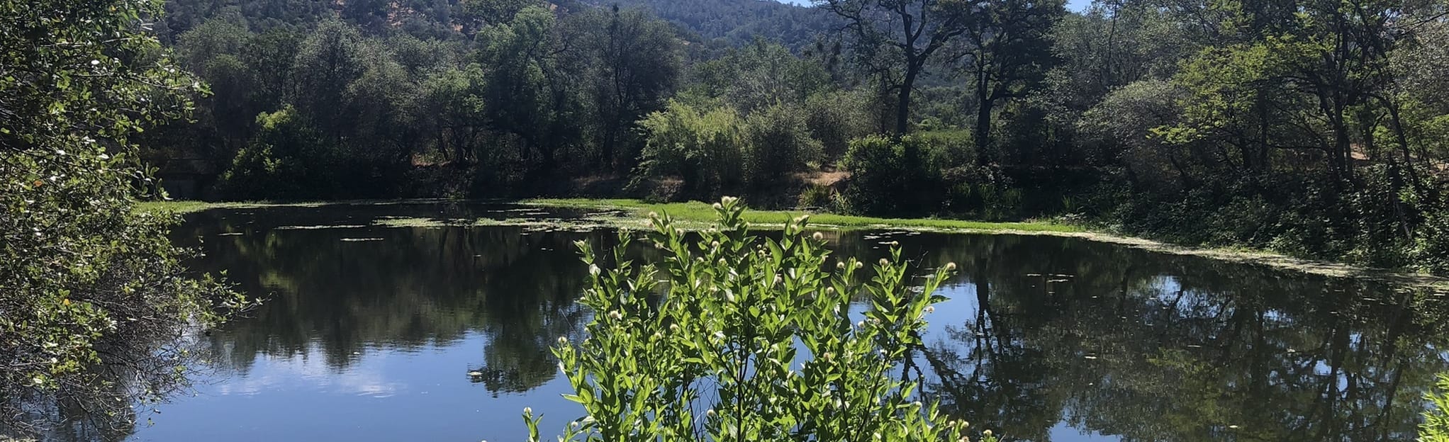 Pioneer Express Trail from Sterling Pointe | Map, Guide - California ...