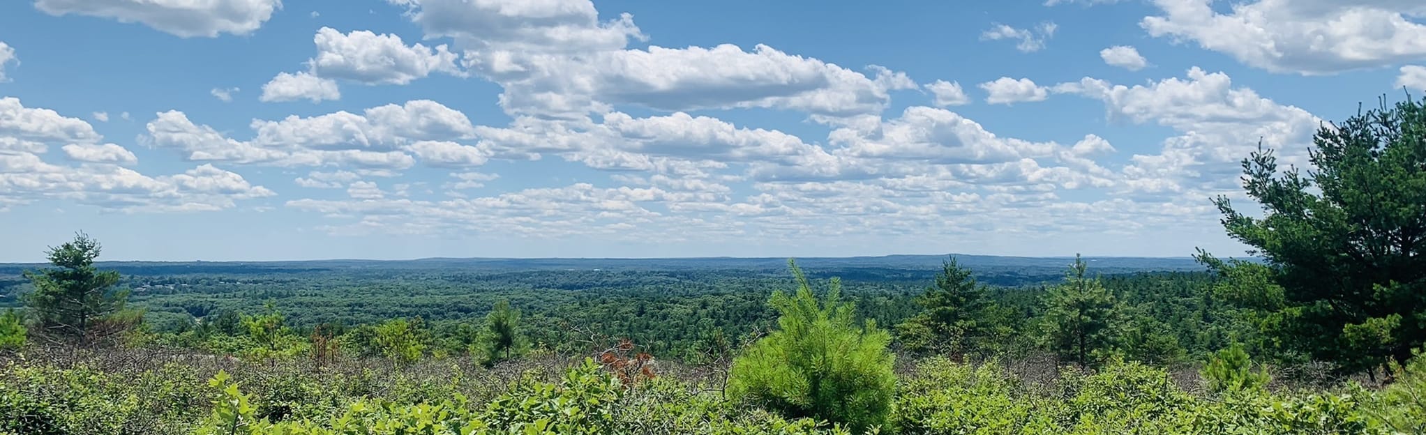 Buck Hill via Skyline Loop: 880 Reviews, Map - Massachusetts | AllTrails