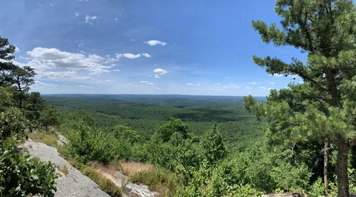 Best Hard Trails in Stokes State Forest | AllTrails