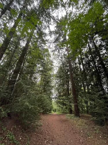 Best Walking Trails in Bremerton | AllTrails