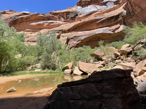 Best Hikes and Trails in Behind the Rocks Wilderness Study Area | AllTrails