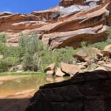 Moonflower Canyon Trail, Utah - 357 Reviews, Map | AllTrails