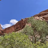 Moonflower Canyon Trail, Utah - 357 Reviews, Map | AllTrails