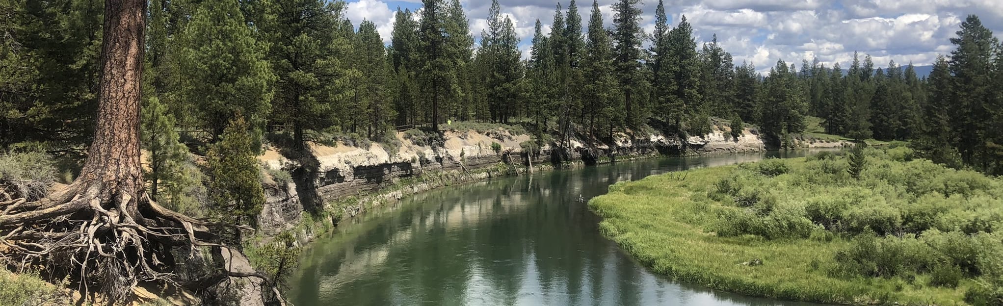 Fall River Loop: 332 Reviews, Map - Oregon | AllTrails