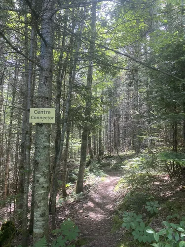 2023 Best River Trails in Dromore | AllTrails