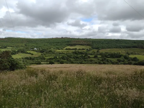 Best Hikes and Trails in Slieve Bloom Mountains Nature Reserve | AllTrails