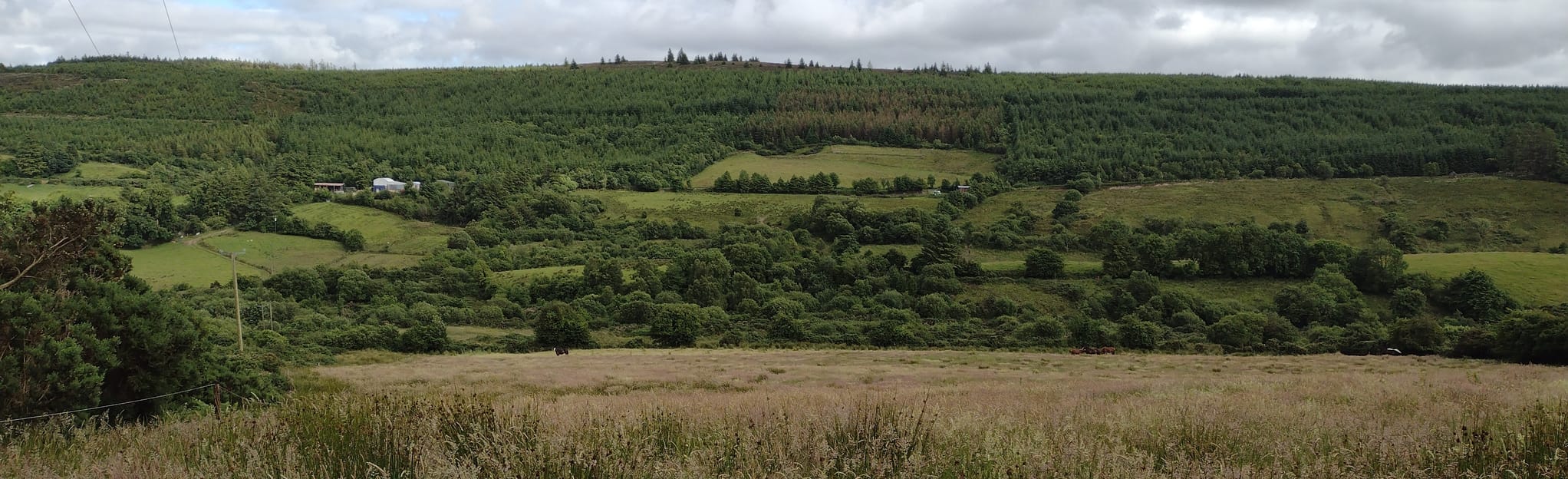 Cadamstown and Clonaslee Loop: 17 Reviews, Map - County Offaly, Ireland ...