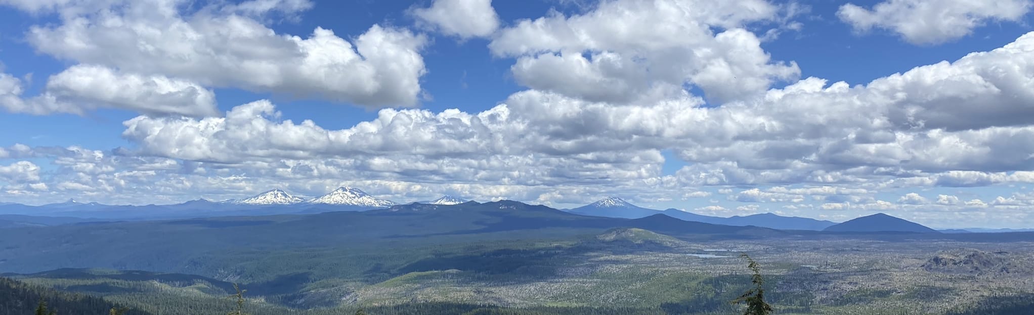 Waldo Mountain Trail #3592: 6 Reviews, Map - Oregon | AllTrails