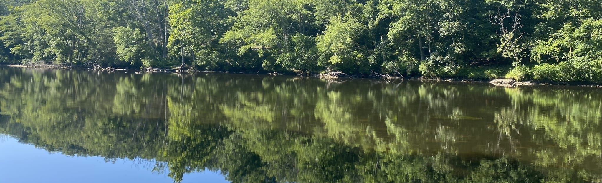 Shetucket River Ridge Trail - Connecticut | AllTrails