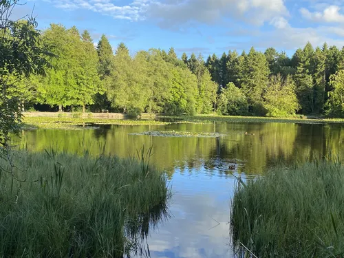 Best Hikes and Trails in Donadea Forest Park | AllTrails