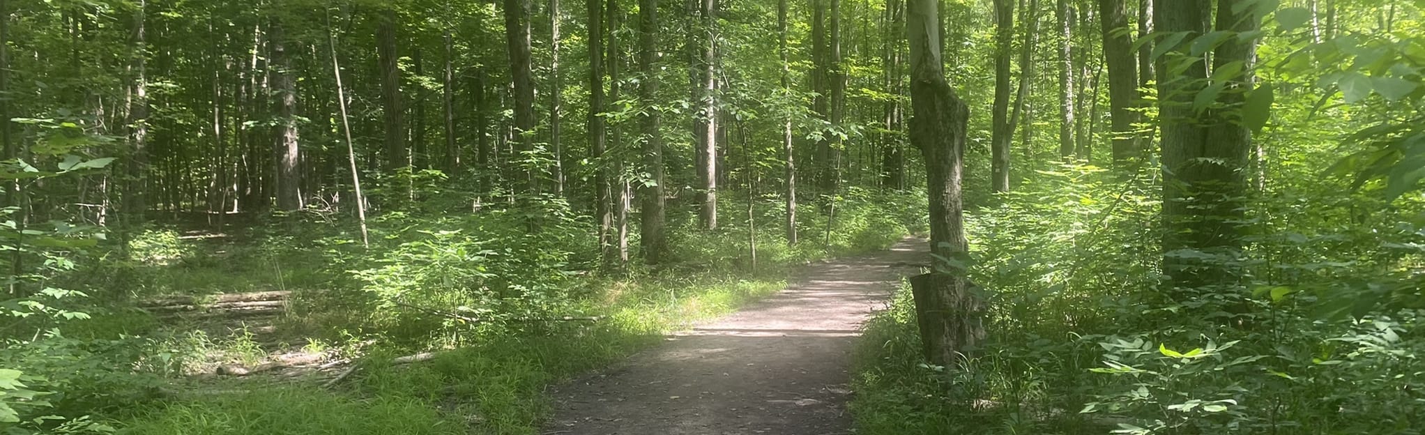 Sugar Bush Trail, Ohio - 274 Reviews, Map | AllTrails