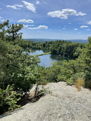 Best Dog Friendly Trails in Cockaponset State Forest | AllTrails