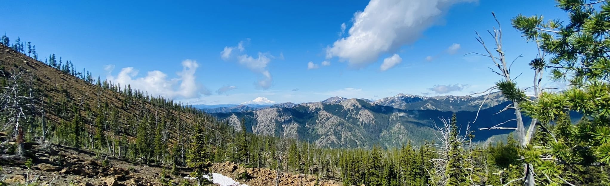 Teanaway Peak, Washington - 31 Reviews, Map | AllTrails