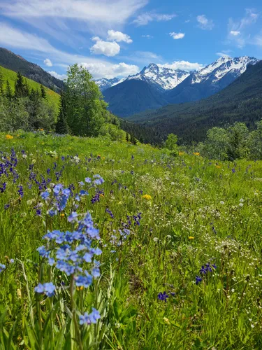 Best Long Trails in South Chilcotin Mountains Provincial Park | AllTrails