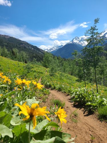 Best 10 Hikes and Trails in South Chilcotin Mountains Provincial Park ...