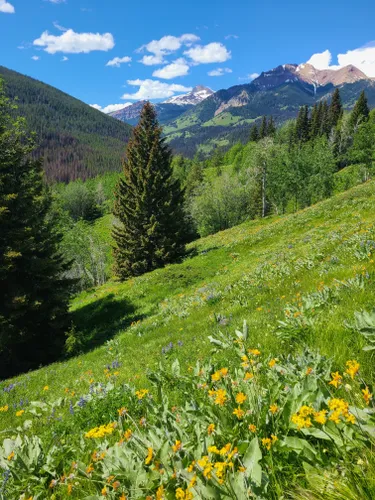 10 Best Hikes and Trails in South Chilcotin Mountains Provincial Park ...