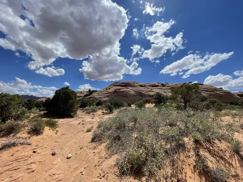 10 Best Hikes and Trails in Sand Flats Recreation Area | AllTrails