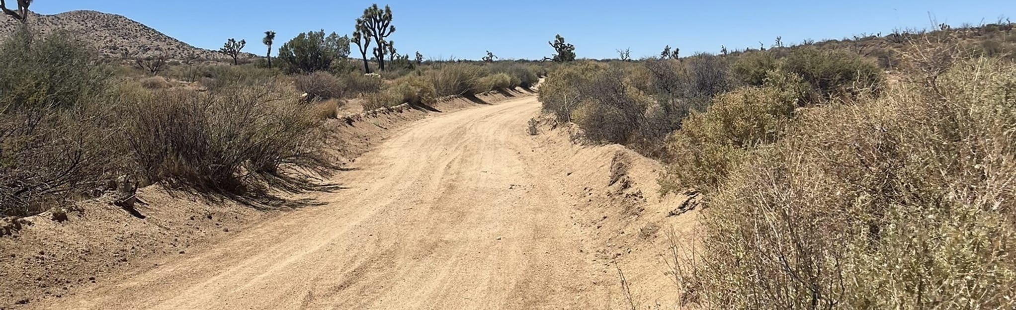 Covington Flats Backcountry Board via Covington Flats Crossover Road ...
