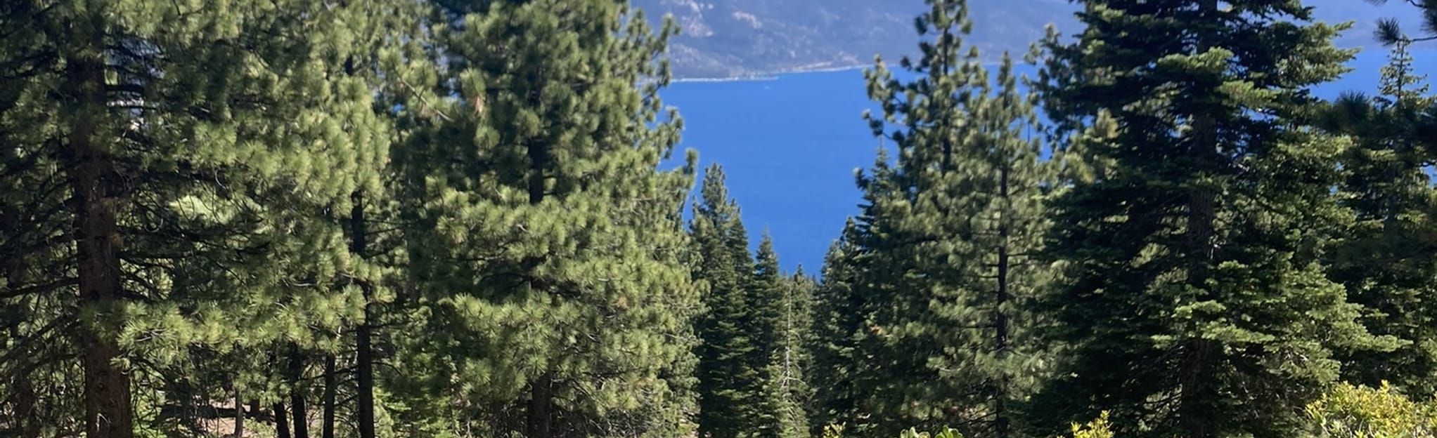 BP and Old Powerline Loop | Map, Guide - Nevada | AllTrails