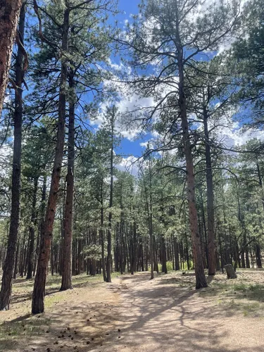 Best Hikes and Trails in Fox Run Regional Park | AllTrails