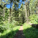 Truman Gulch Trail, Montana - 323 Reviews, Map | AllTrails