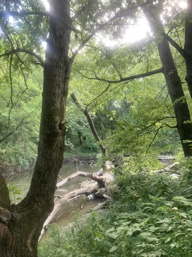 Best City Walk Trails in Decatur | AllTrails