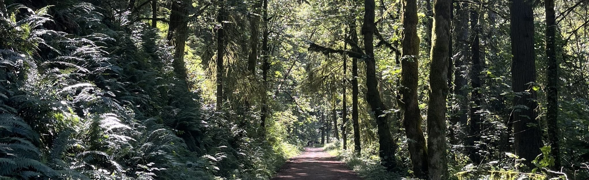 Wildwood, Northwest Leif Erikson Drive and Hardesty Trail Loop: 351 ...