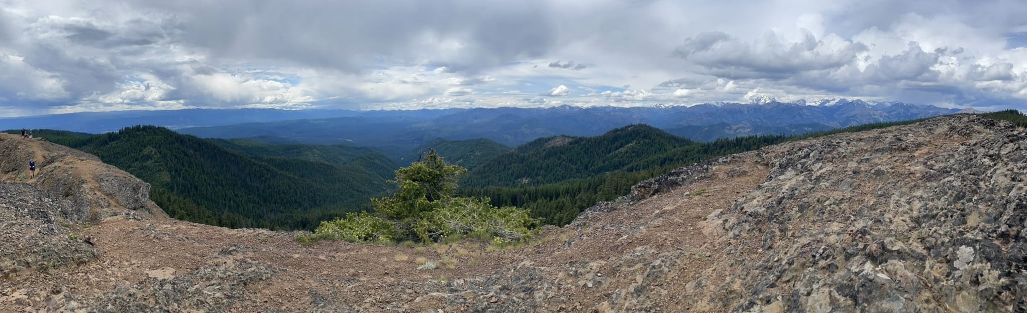 Red Top Lookout Trail: 461 Reviews, Map - Washington | AllTrails