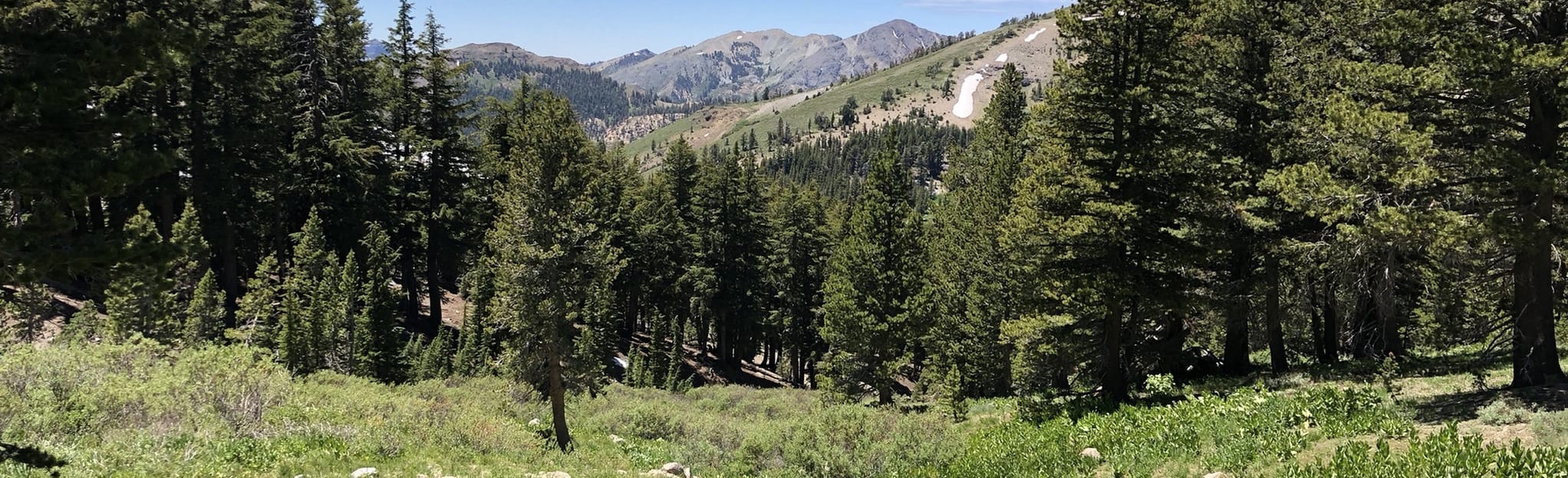 Disaster Creek Loop California 33 Reviews Map Alltrails