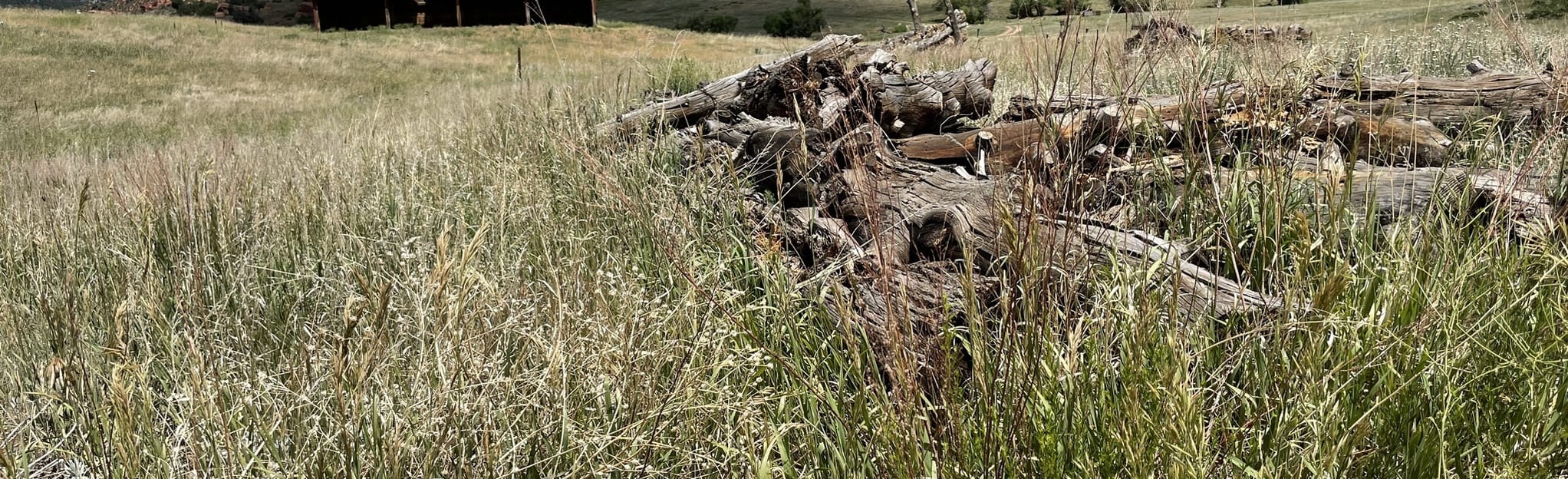 Ranch Overlook via Sandstone Meadow Trail Loop | Map, Guide - Colorado ...