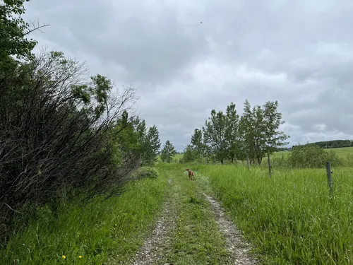 10 Best Trails and Hikes in Rocky View County | AllTrails