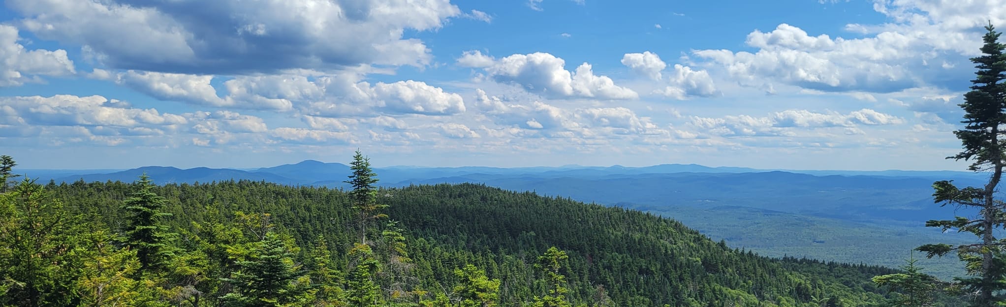 Mount Cardigan Loop Trail, New Hampshire - 1,891 Reviews, Map | AllTrails