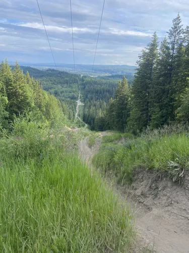 10 Best Trails and Hikes in Prince George | AllTrails