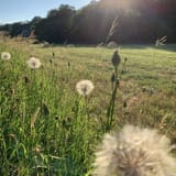 Red Jacket Trail, Minnesota - 160 Reviews, Map | AllTrails