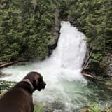 Upper Priest River Trail, Idaho - 86 Reviews, Map | AllTrails