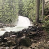 Upper Priest River Trail, Idaho - 86 Reviews, Map | AllTrails